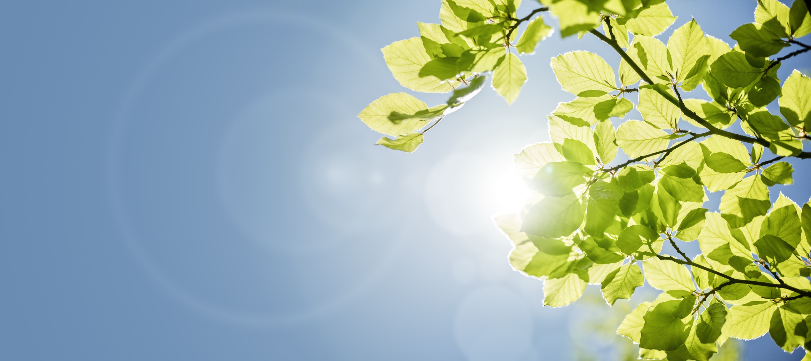 Notre histoire | Adelphe